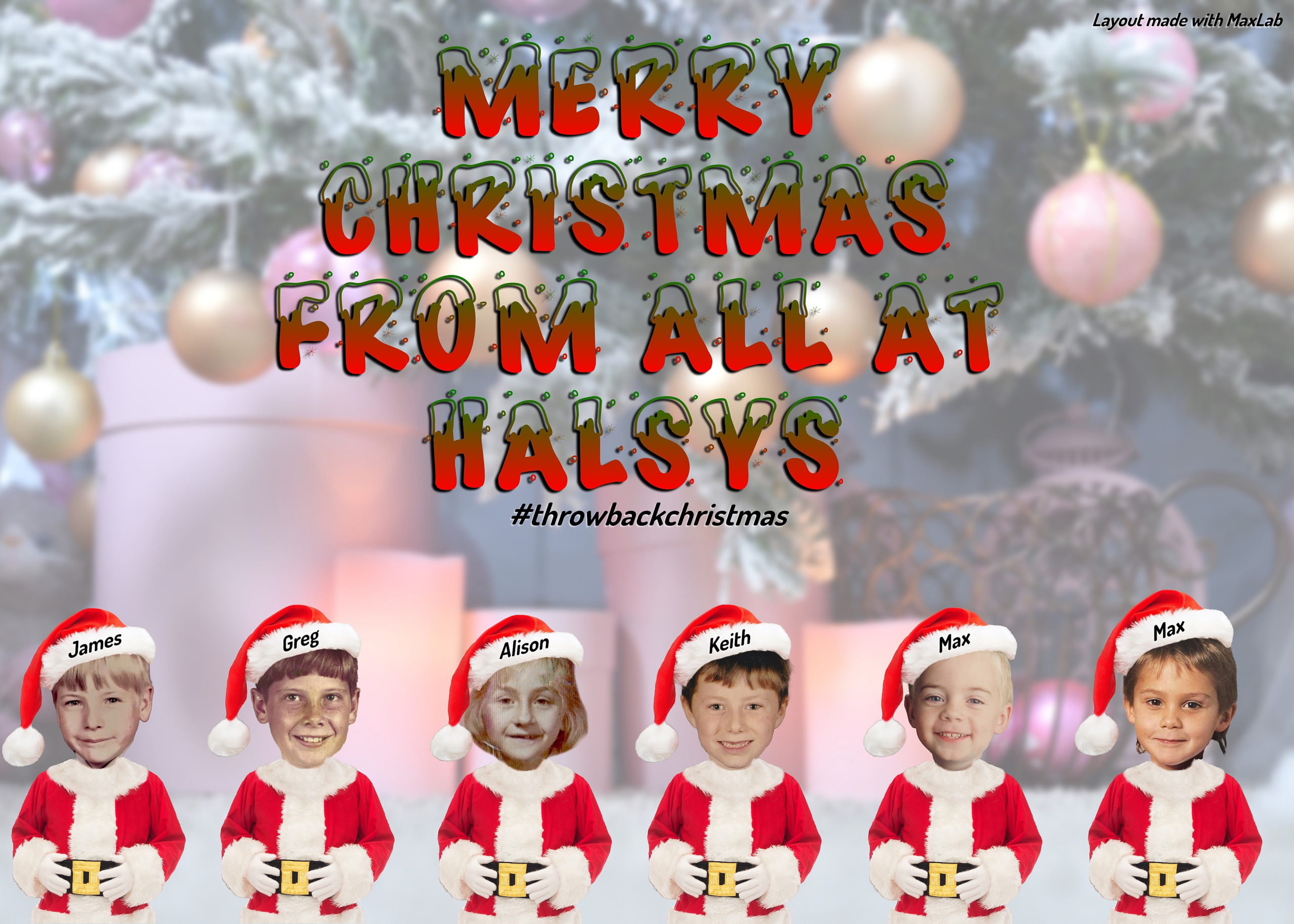 Blog – HALSYS